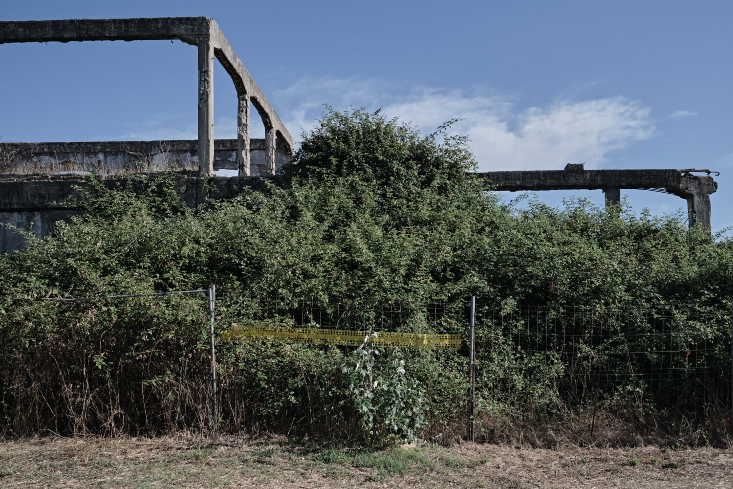 Lake ‘bullicante’ and the anarchy of nature | Anima Loci